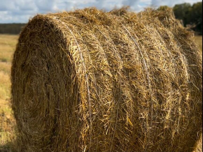 Солома в рулонах