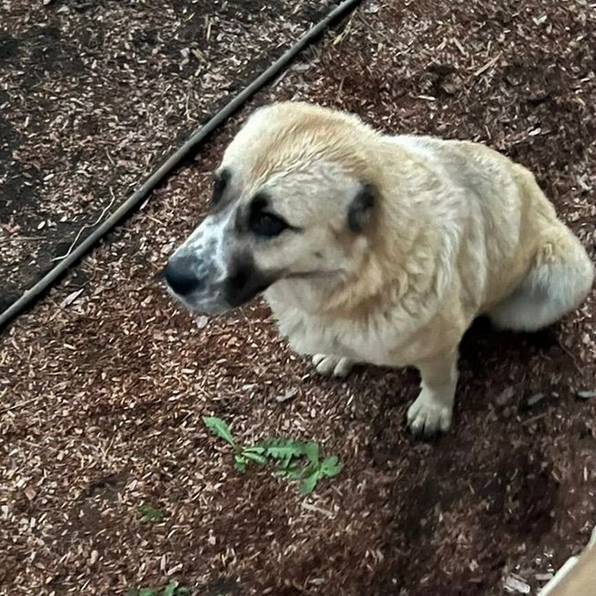 Девочка прибилась