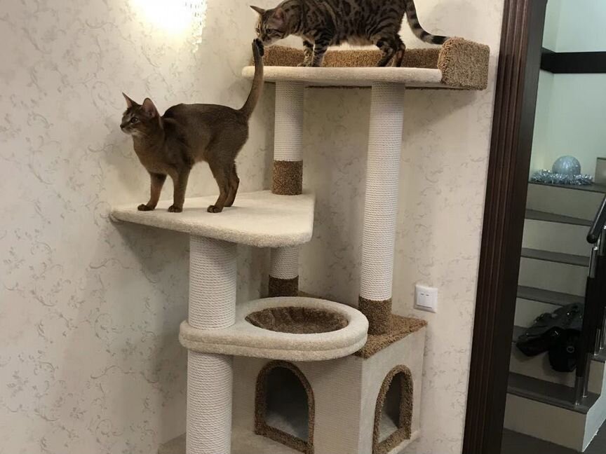 Домик для кошки