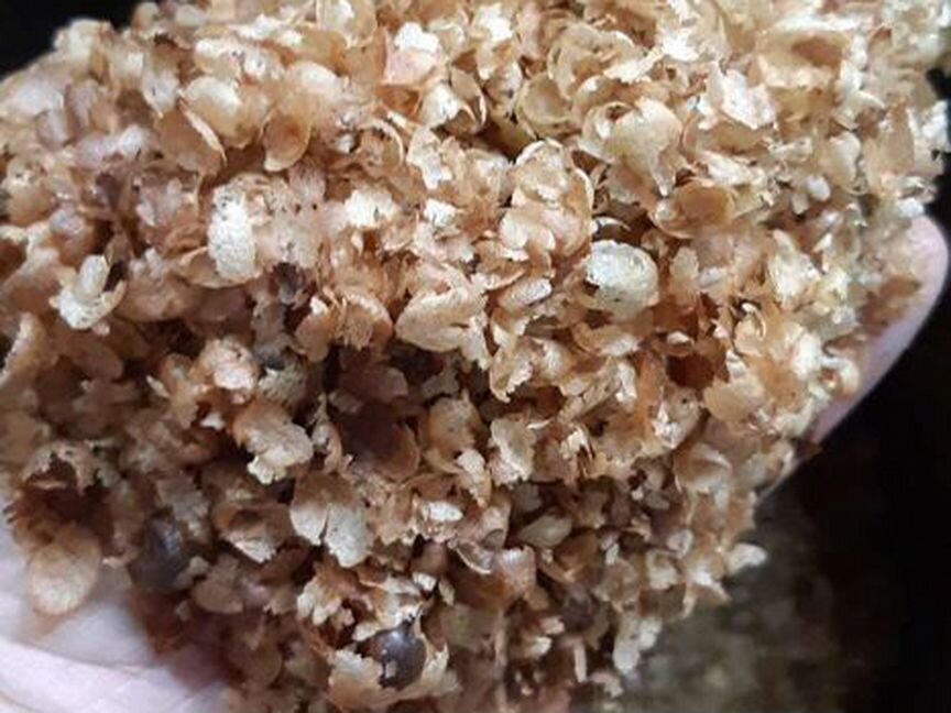 Кофейная шелуха (обжаренная)