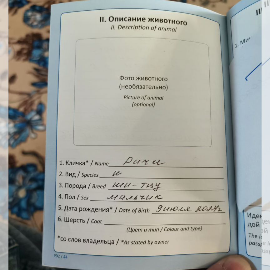 Отдам собаку в добрые руки щенка