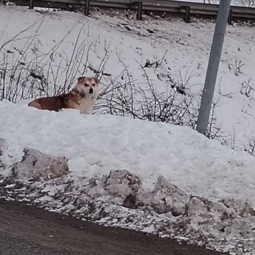 Нужна помощь