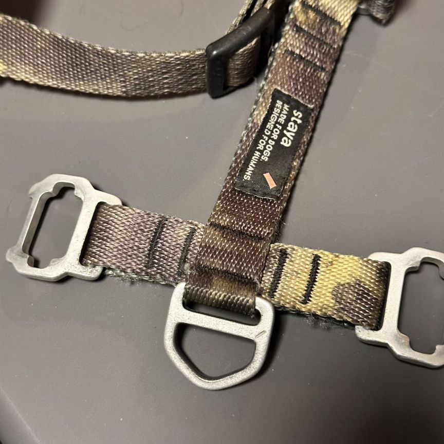 Ошейник staya