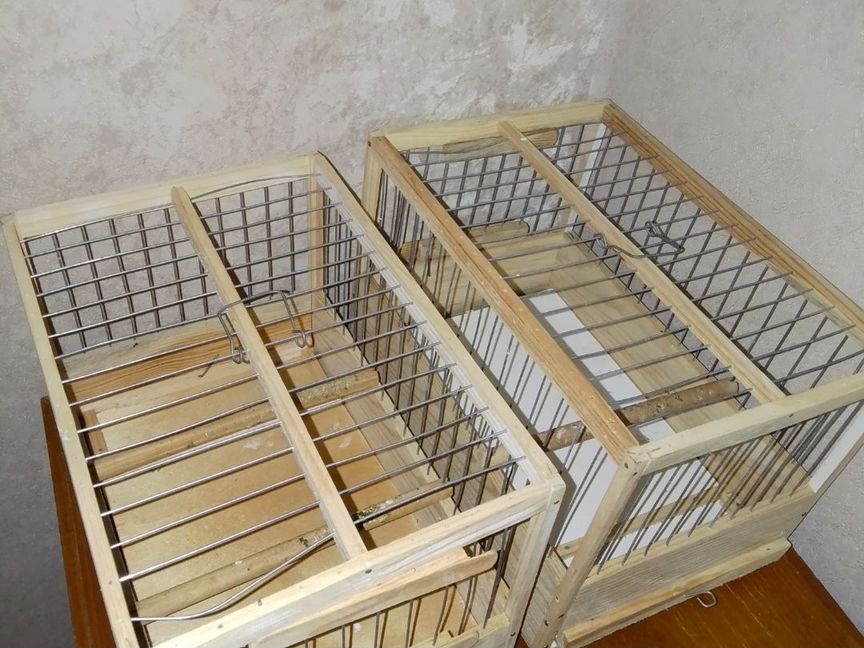 Клетка ловушка