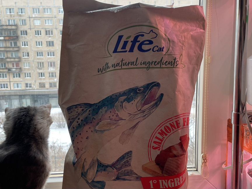 Корм для кошек