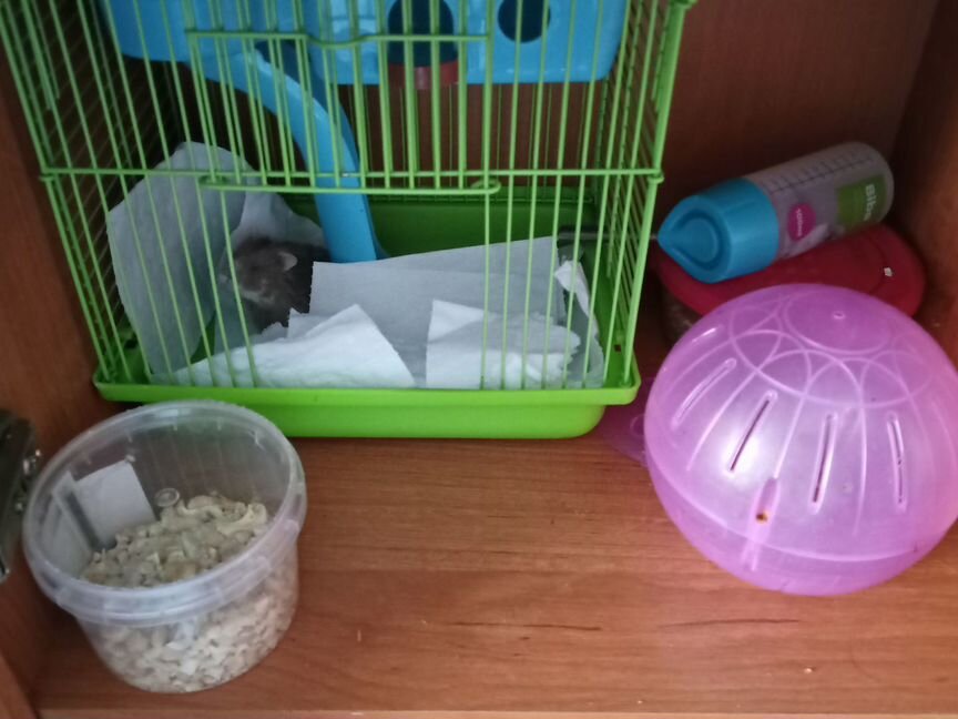 Клетка для хомяка