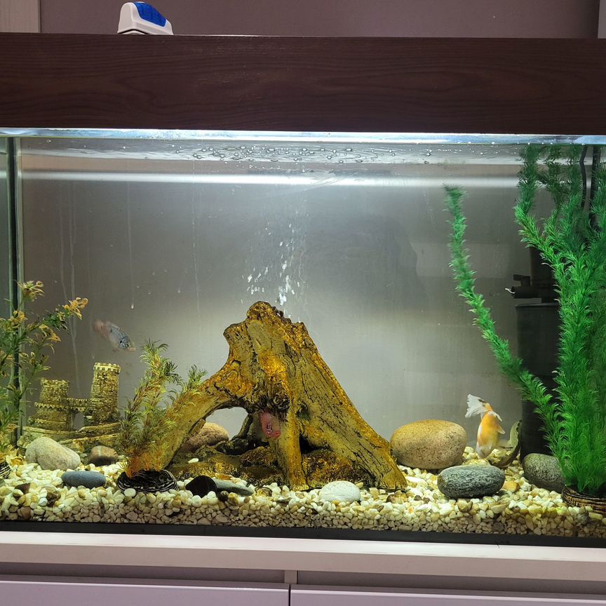 Аквариум 150л под ключ