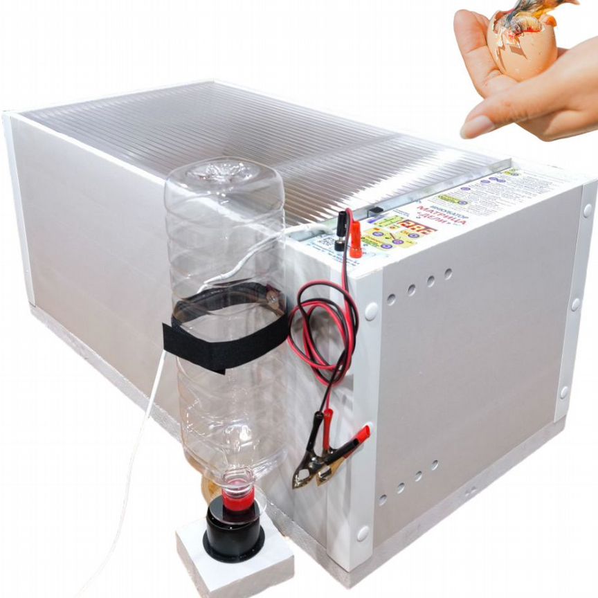 Инкубатор для яиц автоматический блиц