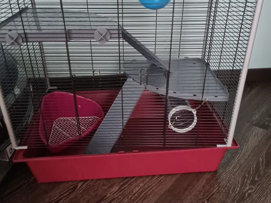 Клетка для крыс и грызунов Jenny