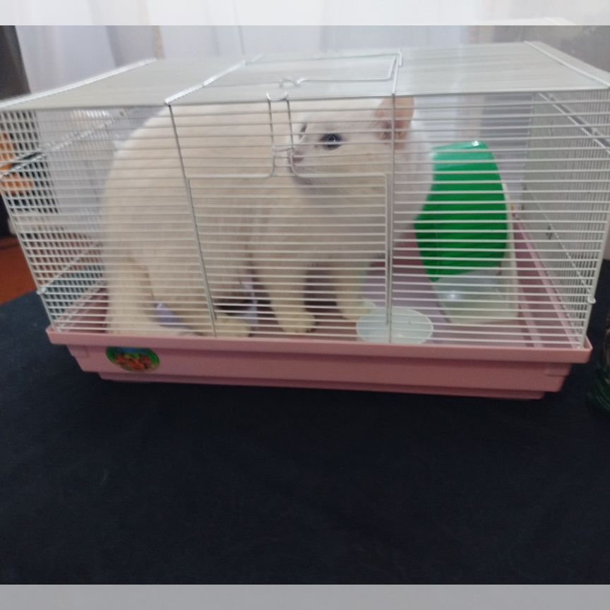 Клетка для хомяка