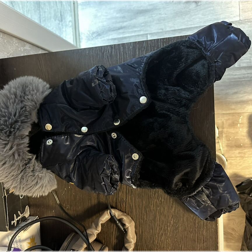 Одежда для собак