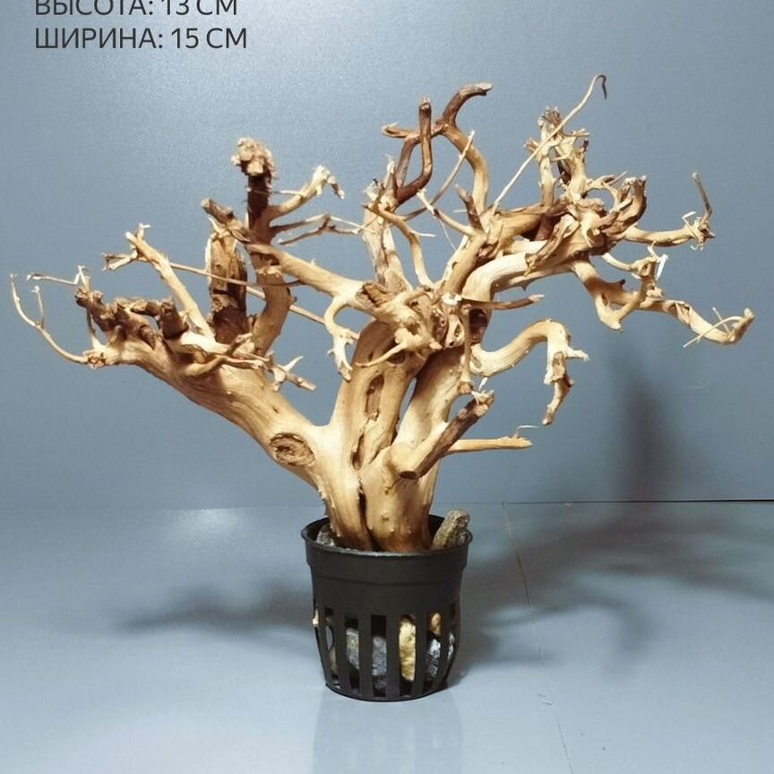 Изящная коряга-деревце 11 для аквариума 21*15*13см