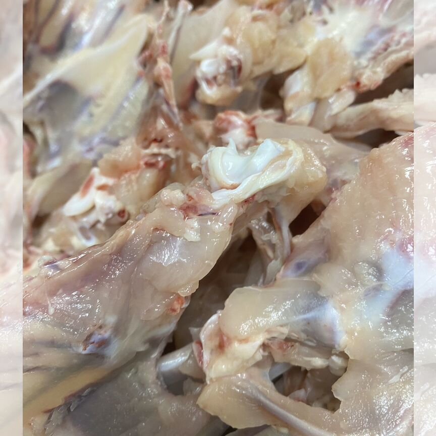 Мясо курицы для собак