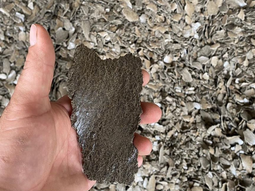 Жмых подсолнечный от завода производителя