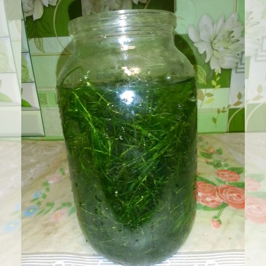 Травка в аквариум