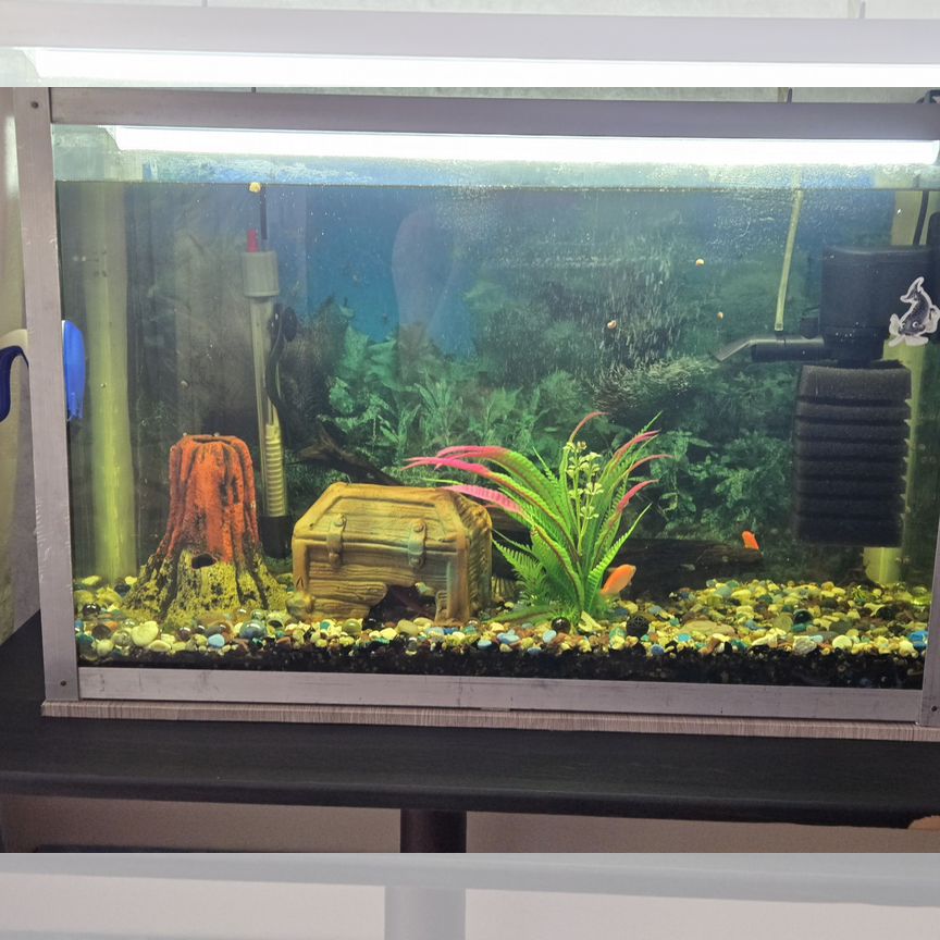 Аквариум с рыбками