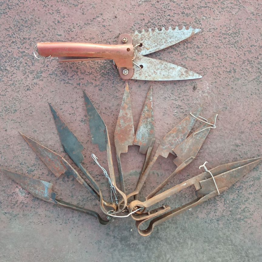 Ножницы для стрижки овец СССР