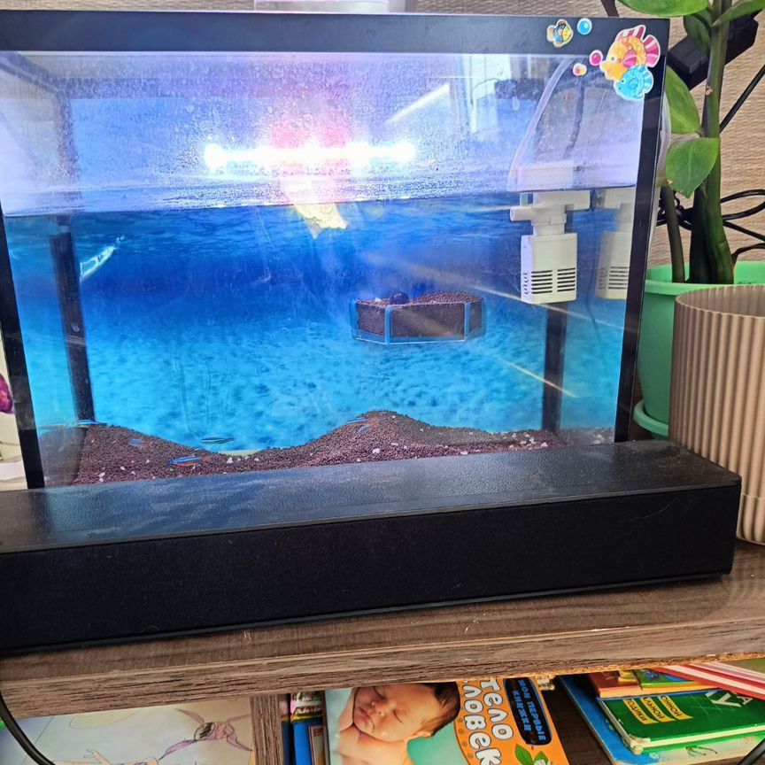 Аквариум с рыбками