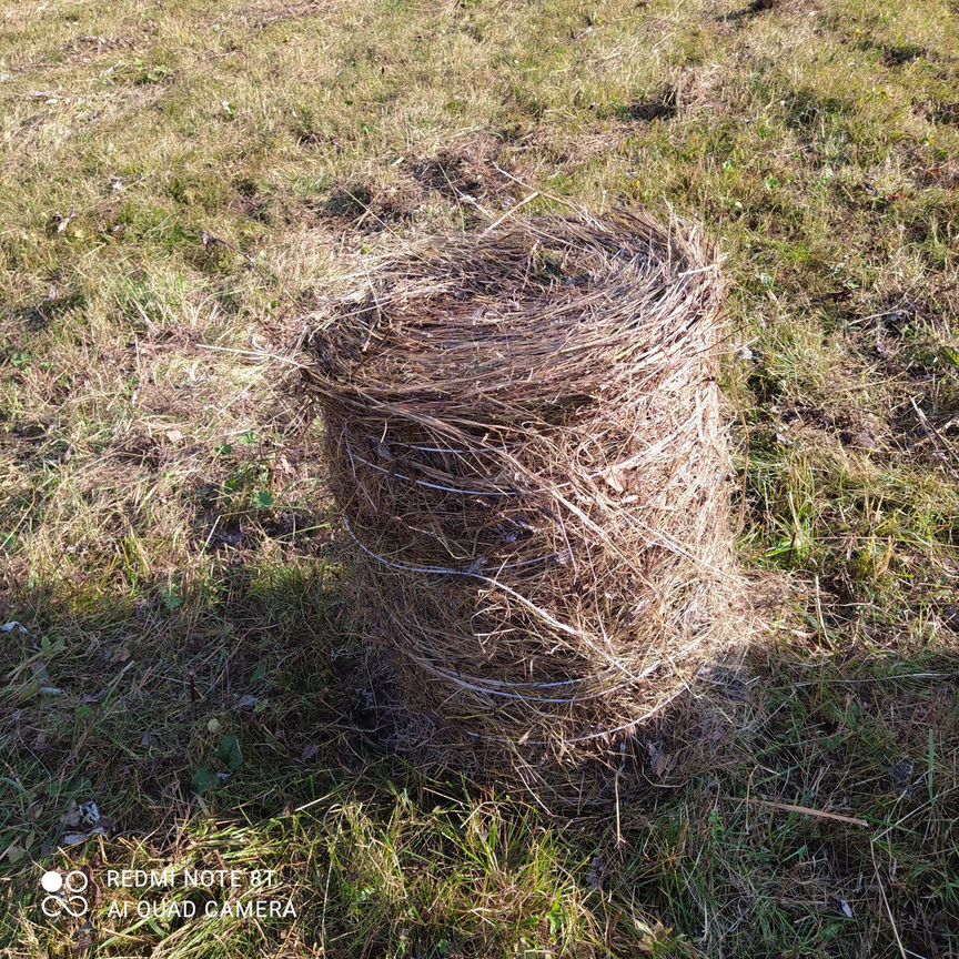 Сено в мини рулонах