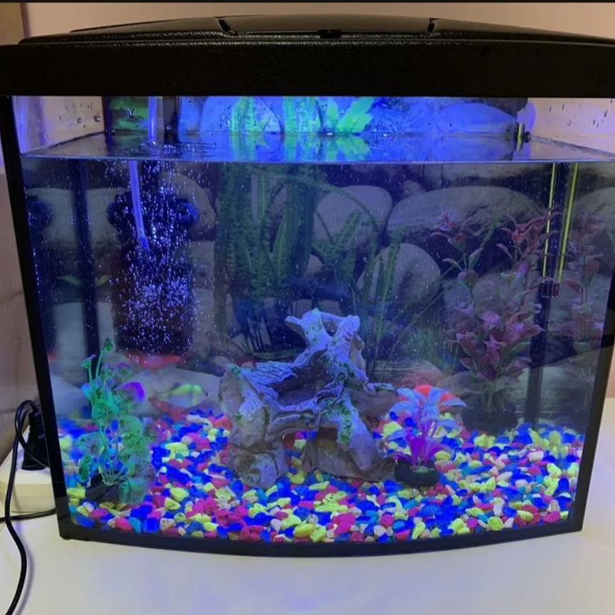 Аквариум 25 литров форма телевизор