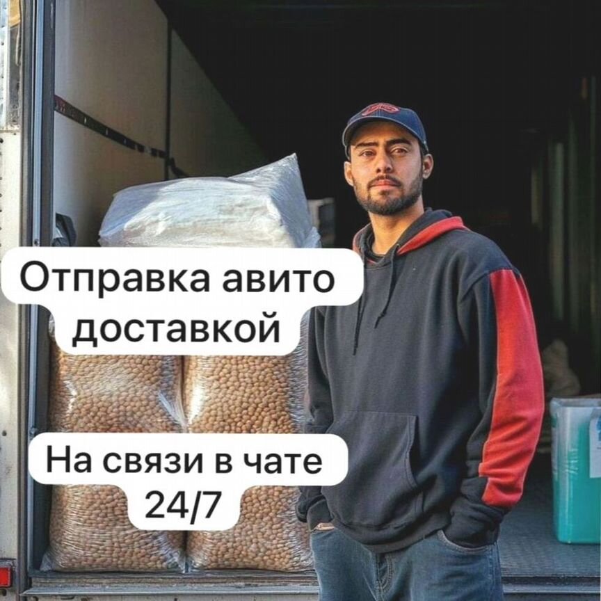 Корм для собак