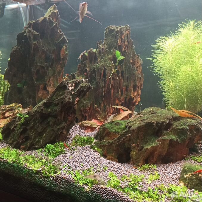 Драконий камень