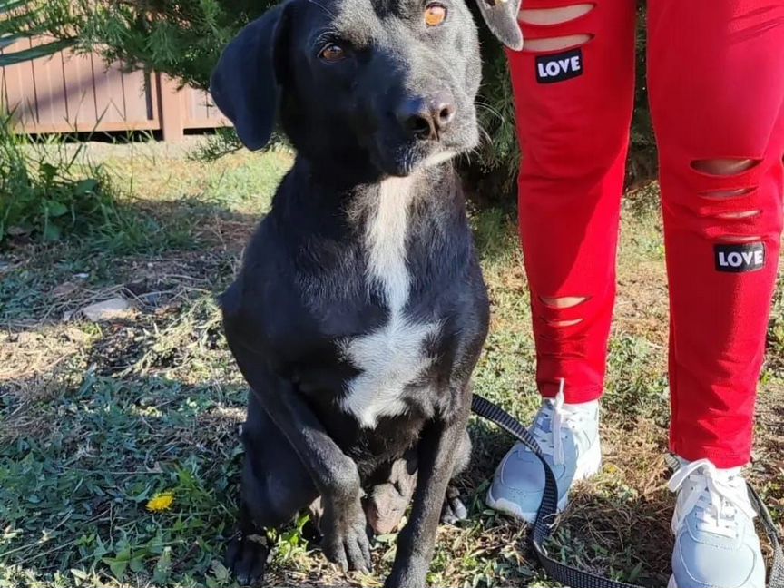 Бусинку хотят выкинуть на улицу