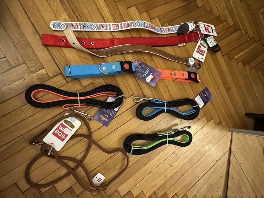 Ошейник для собак