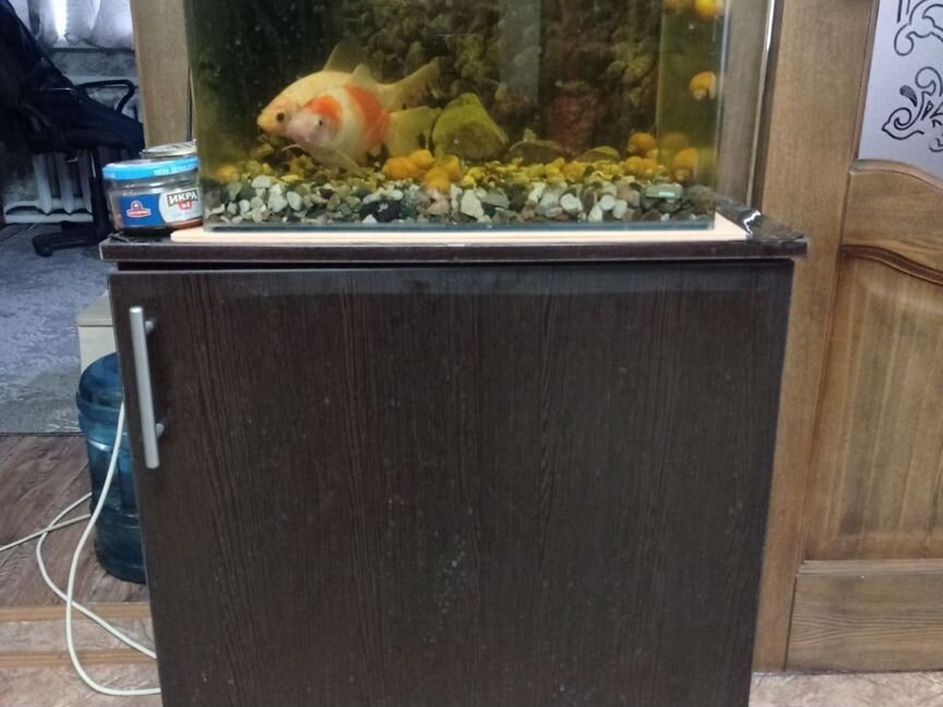 Аквариум с тумбой и рыбками, фильтр, подсветка