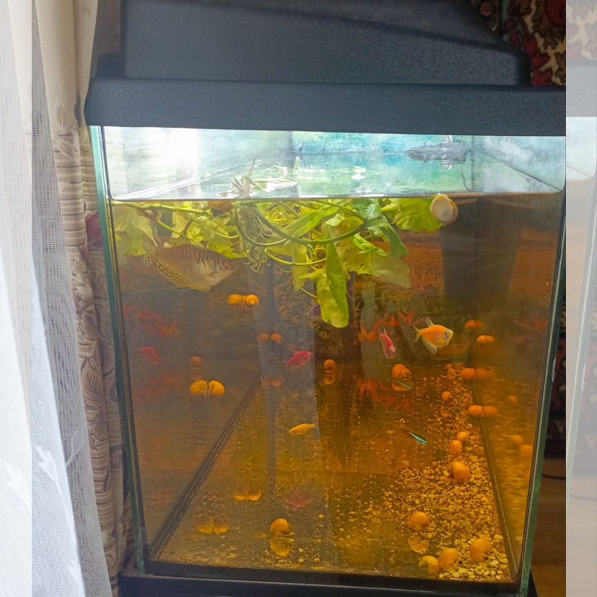 Аквариум 100л с тумбой
