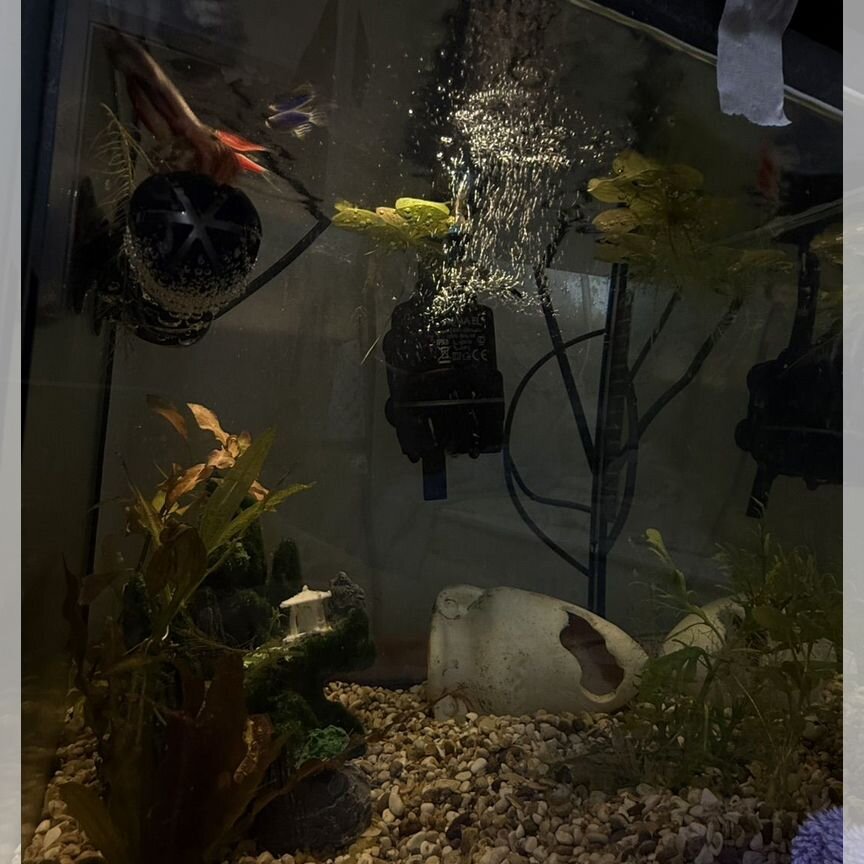 Аквариум 20 литров