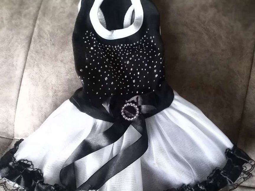 Платье и свитер для собаки