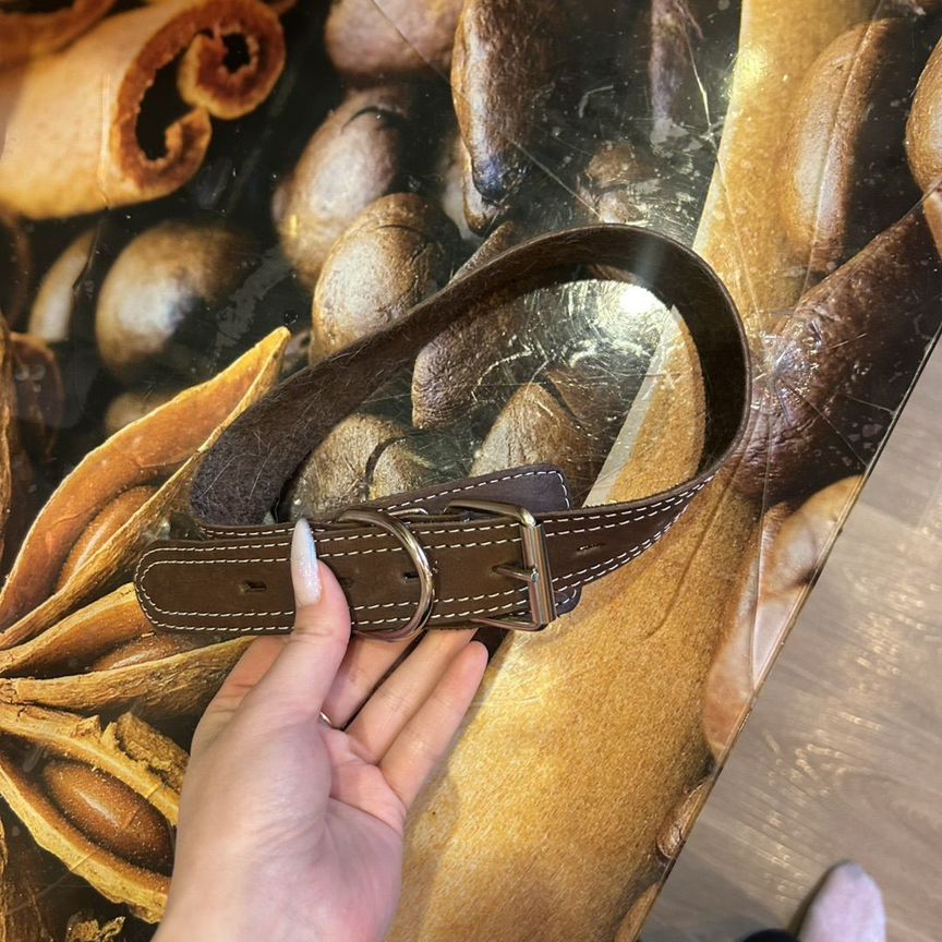 Ошейник для крупной собаки