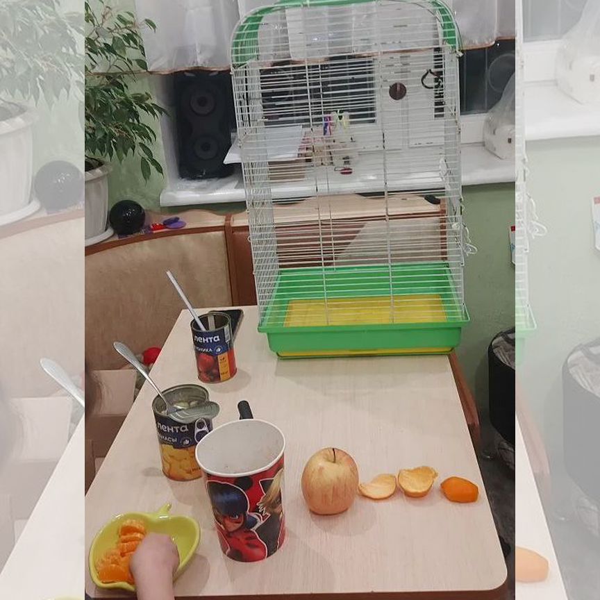 Клетка доя попугая