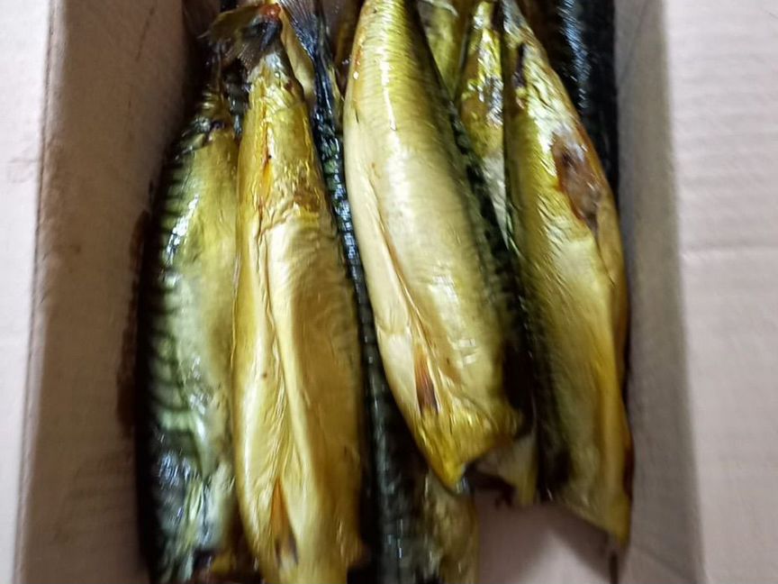 Рыба на корм животным