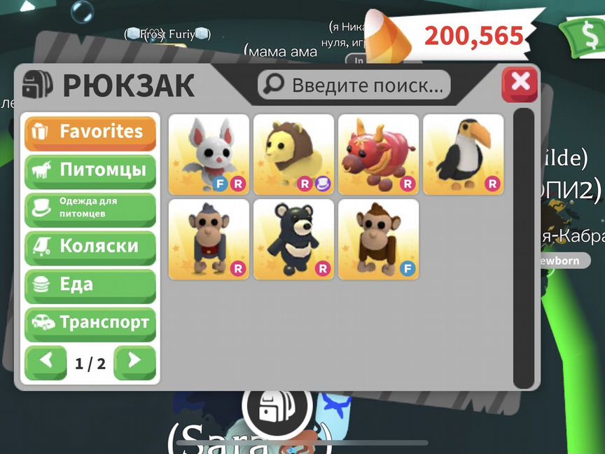 Петы адопт ми