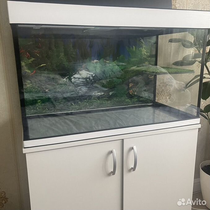 Акватеррариум 150 л. с тумбой