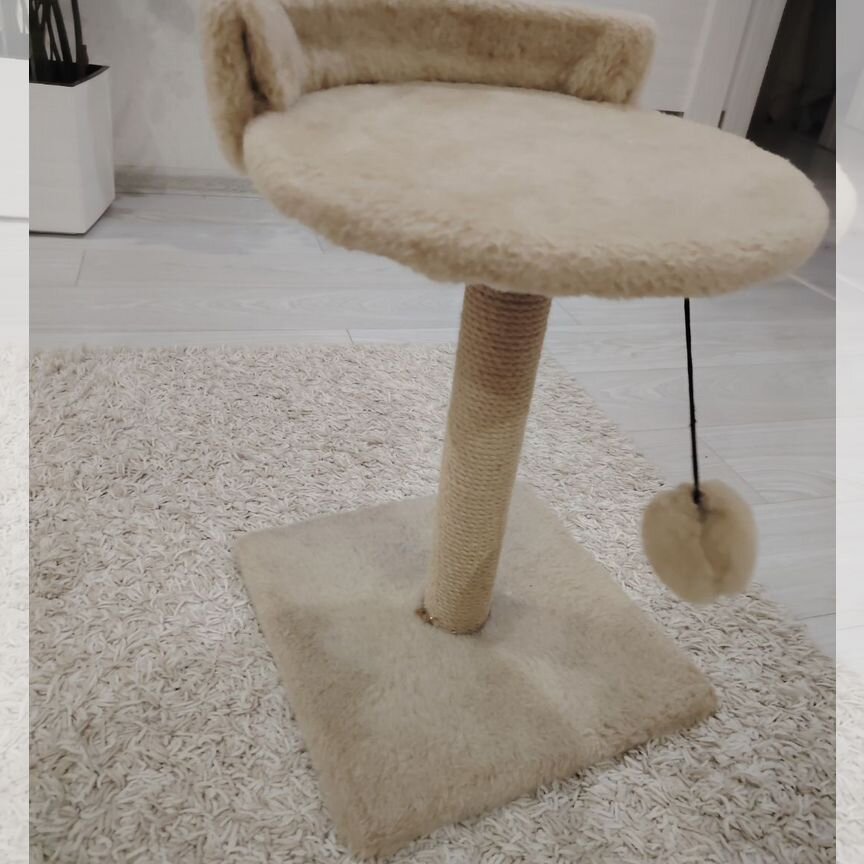 Когтеточка