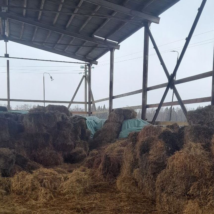 Сено некондиция