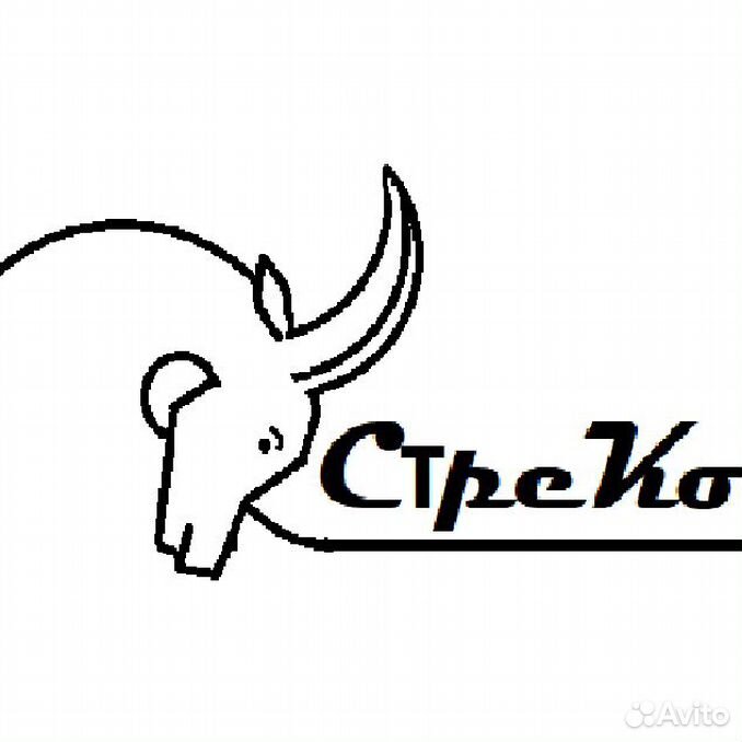 Камерунские козы козочки