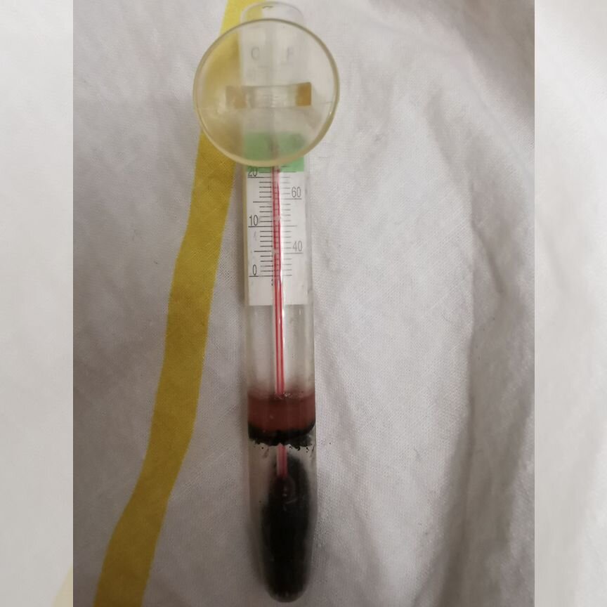 Термометр для аквариума