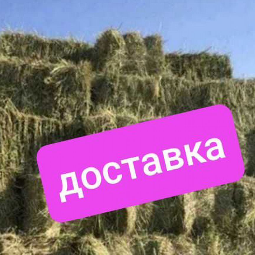 Сено доставка