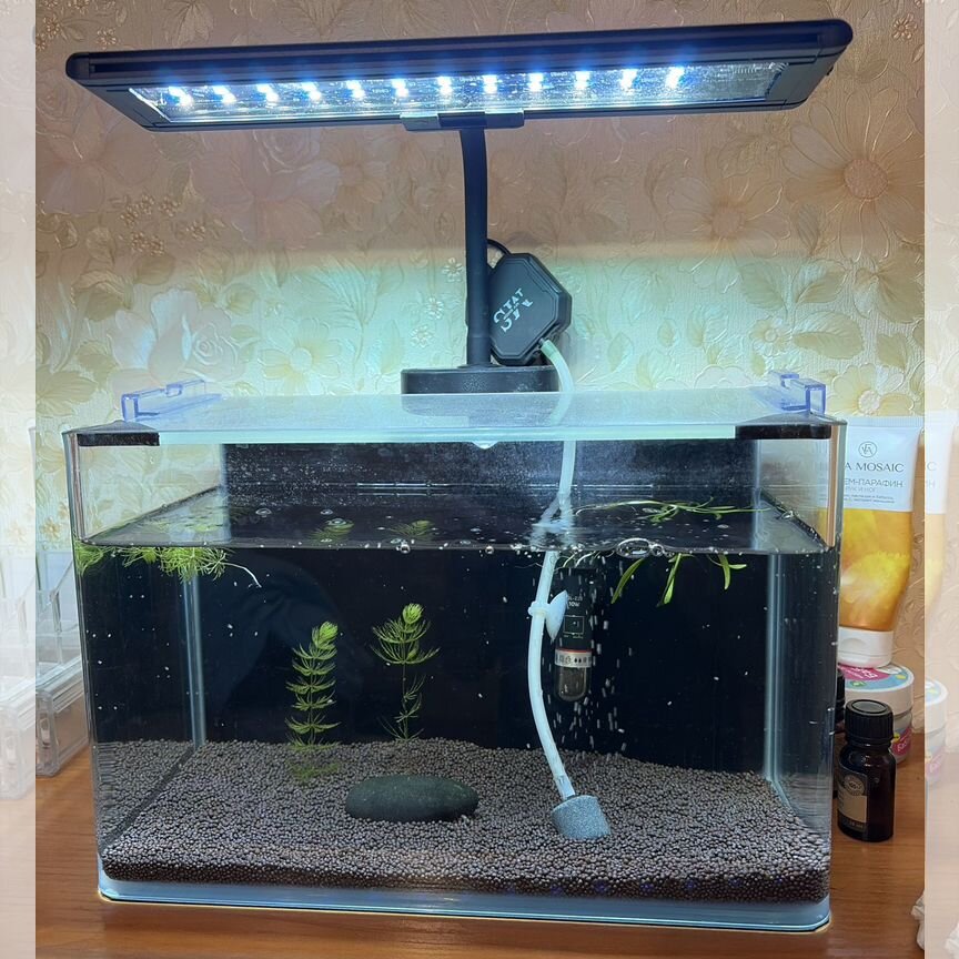 Аквариум 10л