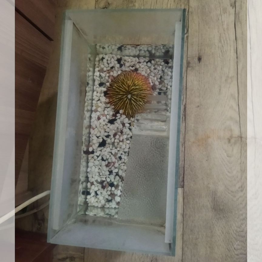 Аквариум б/у