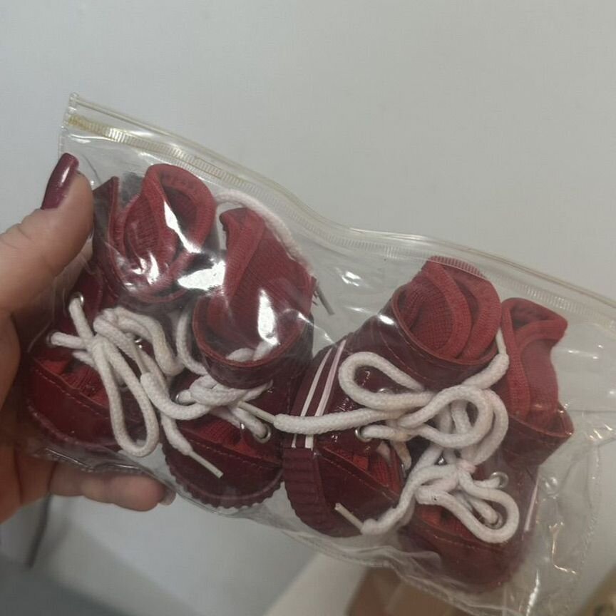 Кеды для собак