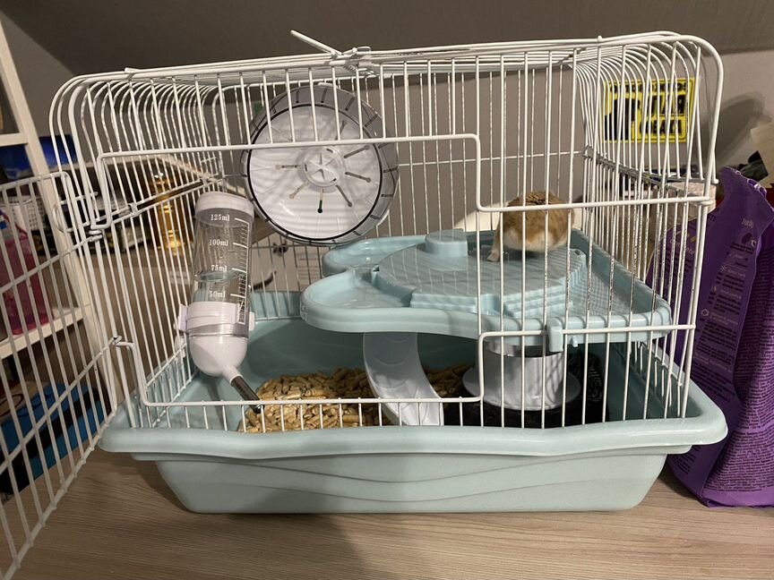 Клетка с джунгариком