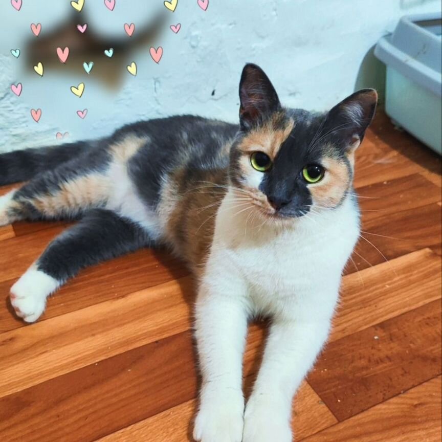 Мягкая -Карамелька