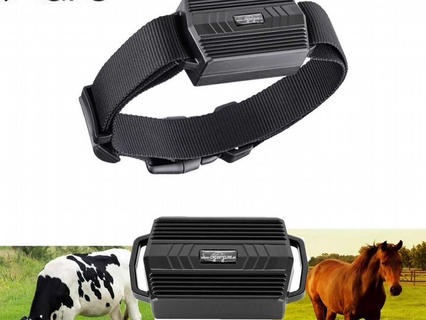 GPS трекер для животных