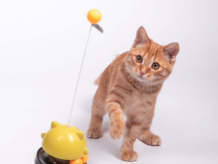 Игрушка для кота
