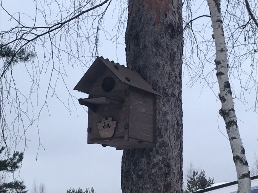 Бельчатник, домик для белки